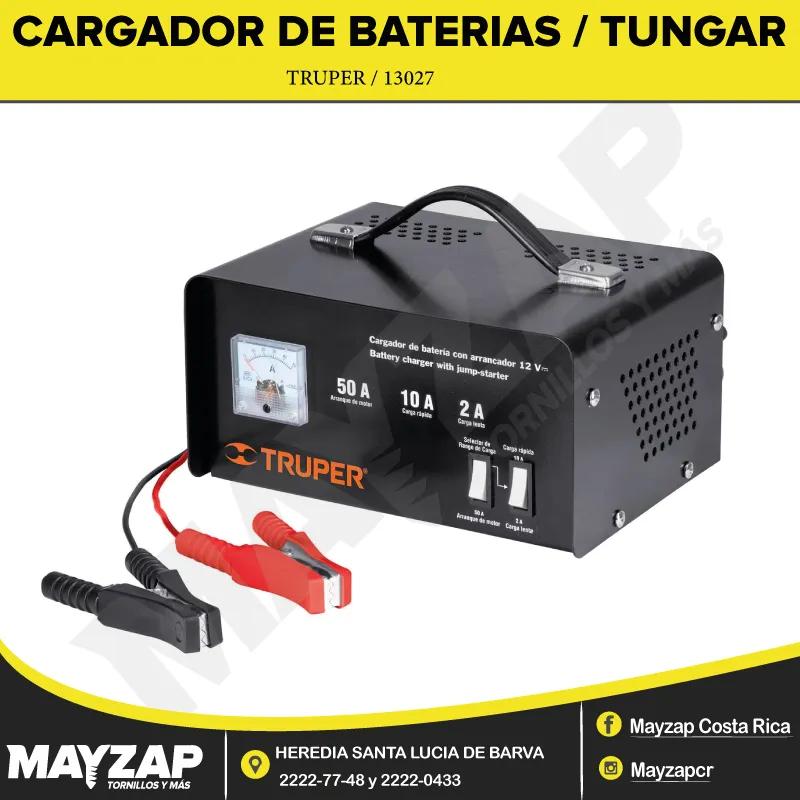 Cargador de baterías tungar: eficiencia y seguridad | Baterías CEA